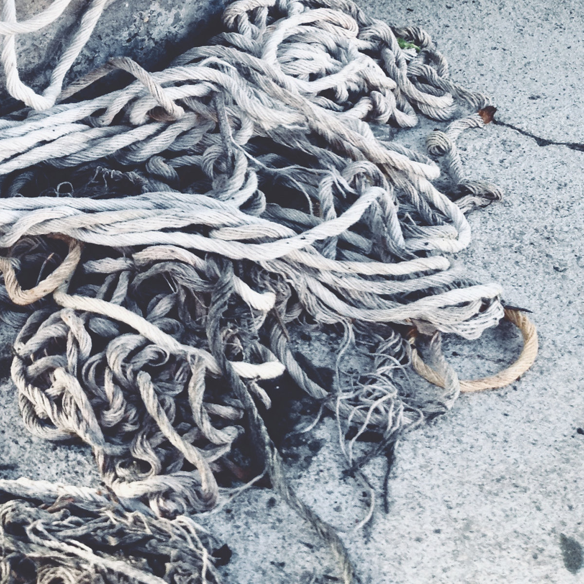 Review: Pedestrian Deposit – Dyers’ Hands (Monorail Trespassing, Mar 19 ...