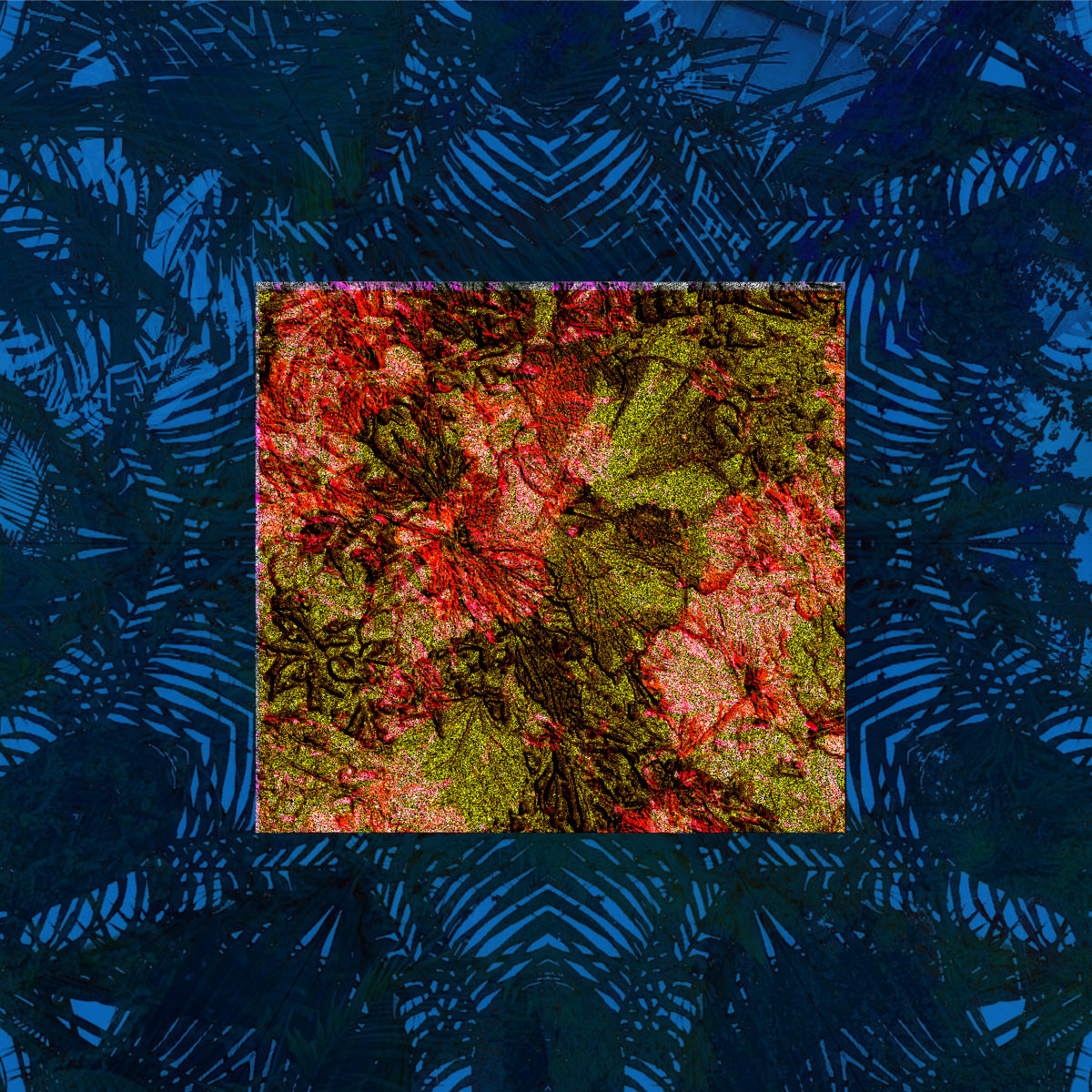 Review: Gauzed Wings – Angel (self-released, Aug 22) – Noise Not Music