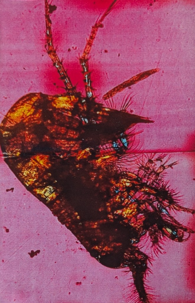List: Favorite Cassette Releases of 2025 – Noise Not Music